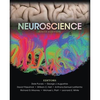 Neuroscience (6TH ed.) 精装英文原版  神经科学第六版