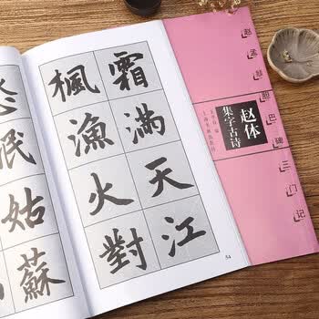 赵孟頫胆巴碑 三门记 赵体集字古诗 楷书米字格单字放大本 毛笔书法集字练字帖简体旁注 上海书画出版社