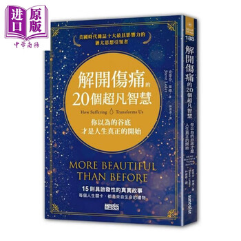 解开伤痛的20个超凡智慧 港台原版 史蒂芬.莱德 Steve Leder 三采文化 心灵成长