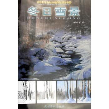 剖析油画的奥秘:冬日雪景 解中才 绘【正版书】
