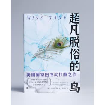 超凡脱俗的鸟