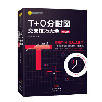 T+0分时图交易技巧大全