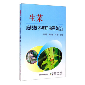生菜施肥技术与病虫害防治