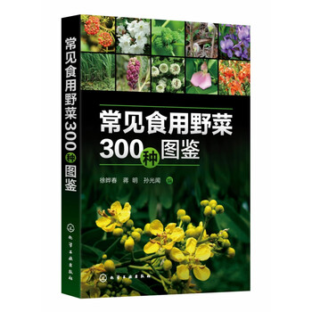 常见食用野菜300种图鉴