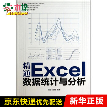 精通Excel数据统计与分析