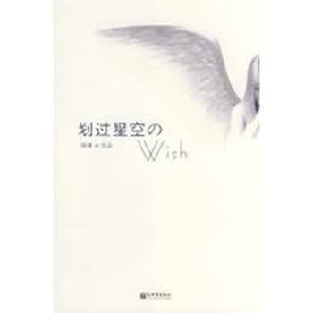划过星空的WISH 郑靖 新世界出版社