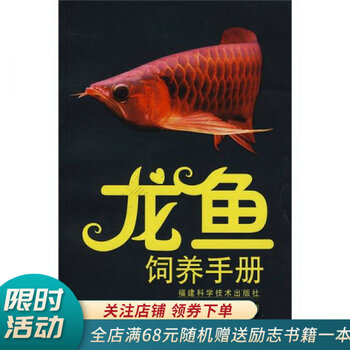 龙鱼饲养手册