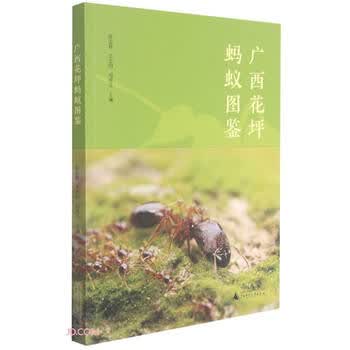 正版 广西花坪蚂蚁图鉴9787559841582