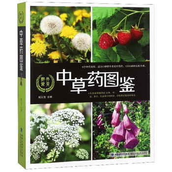野外常见中草药图鉴