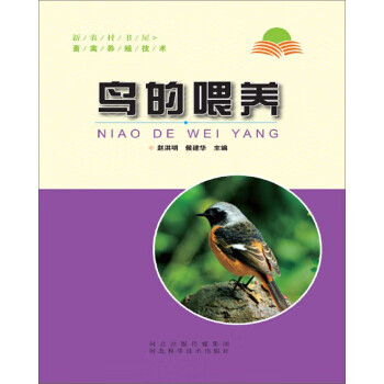 鸟的喂养