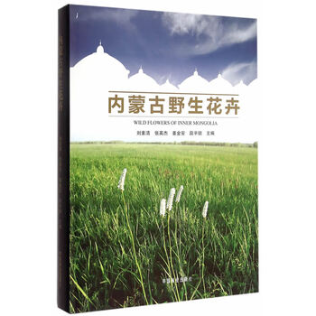 内蒙古野生花卉