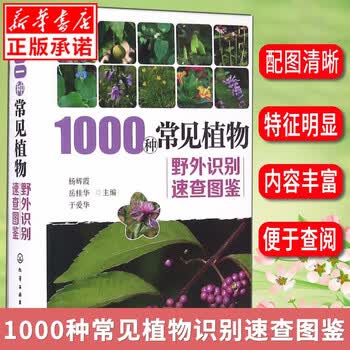 1000种常见植物野外识别速查图鉴 杨辉霞 家庭书籍野外识别原植物鉴别图册中国常用手册 图识