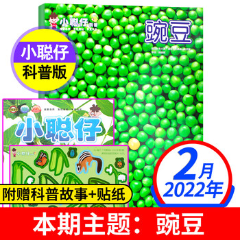 【2022全年/半年订阅】小聪仔科普版杂志1-12月共12期 2-6-8岁启蒙认知早教书益智兴趣儿童 2022年小聪仔科普版2月 豌豆