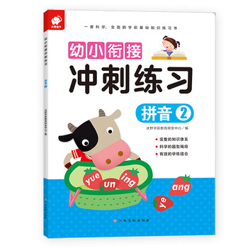 幼小衔接冲刺练习-拼音2