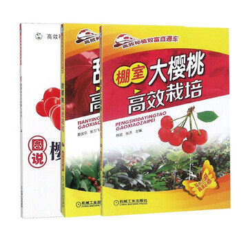樱桃套装 共3册