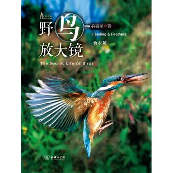 野鸟放大镜(食衣篇)/自然观察