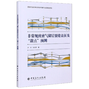 非常规致密气储层裂缝表征及甜点预测
