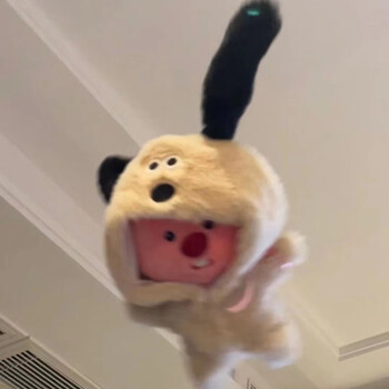 绿野客loopy玩偶小海狸露比公仔毛绒玩具粉娃娃女孩可爱睡觉抱生日礼物 主图款玩偶【图片 价格 品牌 报价】-京东