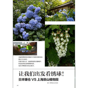 花园MOOK 绣球号 FG武蔵