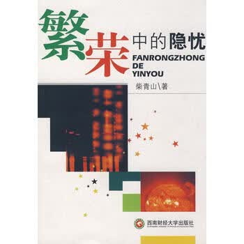 繁荣中的隐忧 米阳 经济 9787811381382