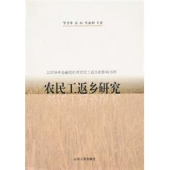 农民工返乡研究【正版图书 放心购买】
