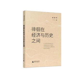徘徊在经济与历史之间 图书