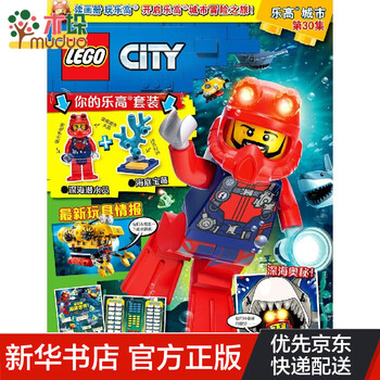 乐高城市(第30集)