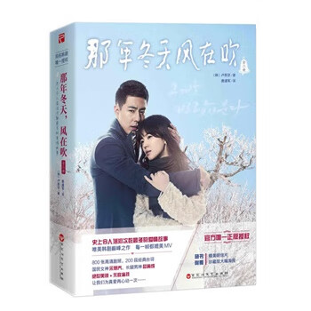 那年冬天，风在吹