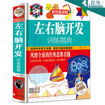 左右脑开发训练题典 彩色悦读馆 青少年中小学生智力开发思维训练书籍儿童益智游戏