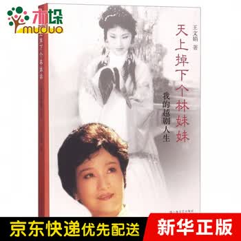 天上掉下个林妹妹(我的越剧人生)