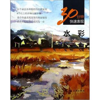 水彩-30分钟快速表现 王静 绘画 9787532285211