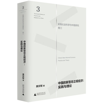 大学问·中国的新型非正规经济：实践与理论（实践社会科学与中国研究·卷三）