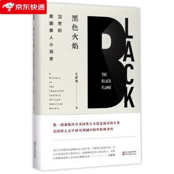黑色火焰 20世纪美国黑人小说史
