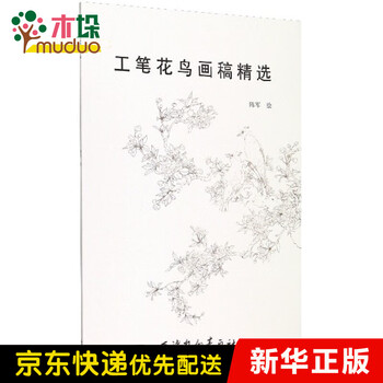 工笔花鸟画稿精选