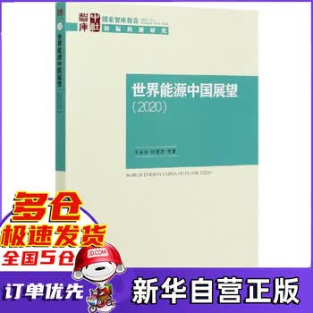 世界能源中国展望(2020)/国家智库报告