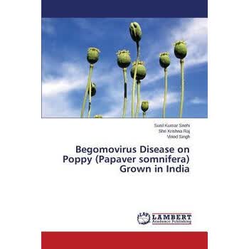 Begomovirus Disease on Poppy (Papaver Somnifera)