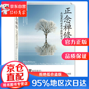 正念禅修 马克·威廉姆斯，丹尼·彭曼 著；刘海清 译 九州出版社