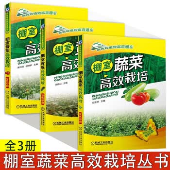 大棚蔬菜种植技术3本 黄瓜高效栽培番茄西红柿蔬菜病虫害诊断与防治棚室蔬菜类农业养殖种菜书籍现代生态农