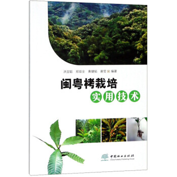 闽粤栲栽培实用技术