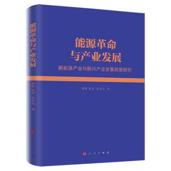 能源革命与产业发展(新能源产业与新兴产业发展政策研究)