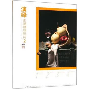 演绎素描静物照片 孔祥涛主编 中国书店