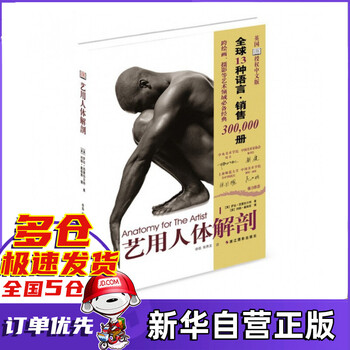 艺用人体解剖