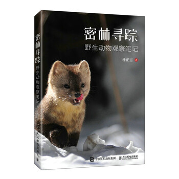 密林寻踪:野生动物观察笔记