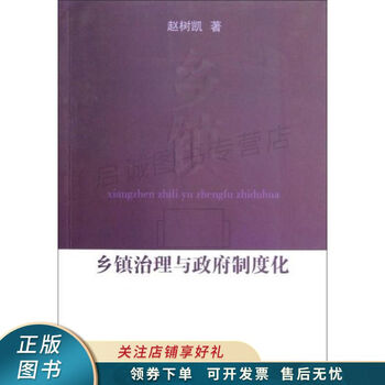 乡镇治理与政府制度化
