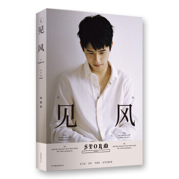 见风 刘昊然 9787505736856 中国友谊出版公司