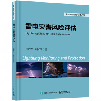 雷电灾害风险评估/雷电监测与防护技术丛书