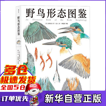 野鸟形态图鉴