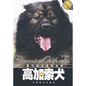 勇气和力量的化身:高加索犬