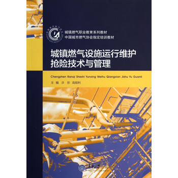 城镇燃气设施运行维护抢险技术与管理(城镇燃气职业教育系列教材)