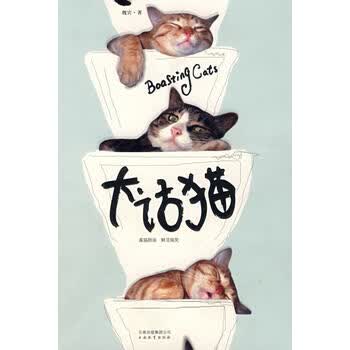大话猫 魏宾 动漫 9787541534072